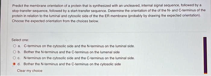 Predict the membrane orientation of a protein that is synthesized with ...