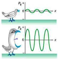 SOLVED: PLEASE ANSWER These two birds both chirp a song in the morning ...