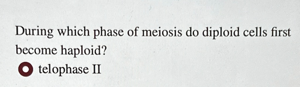 during which phase of meiosis do diploid cells first become haploid ...