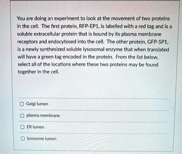SOLVED: You are doing an experiment to look at the movement of two ...