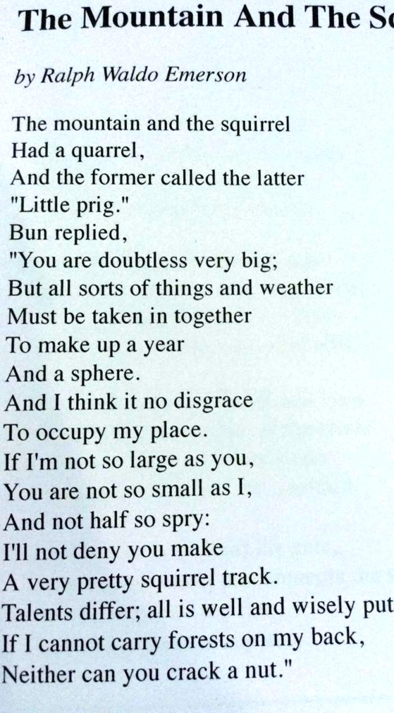 what does little prig mean and why did the mountain call the squirrel ...