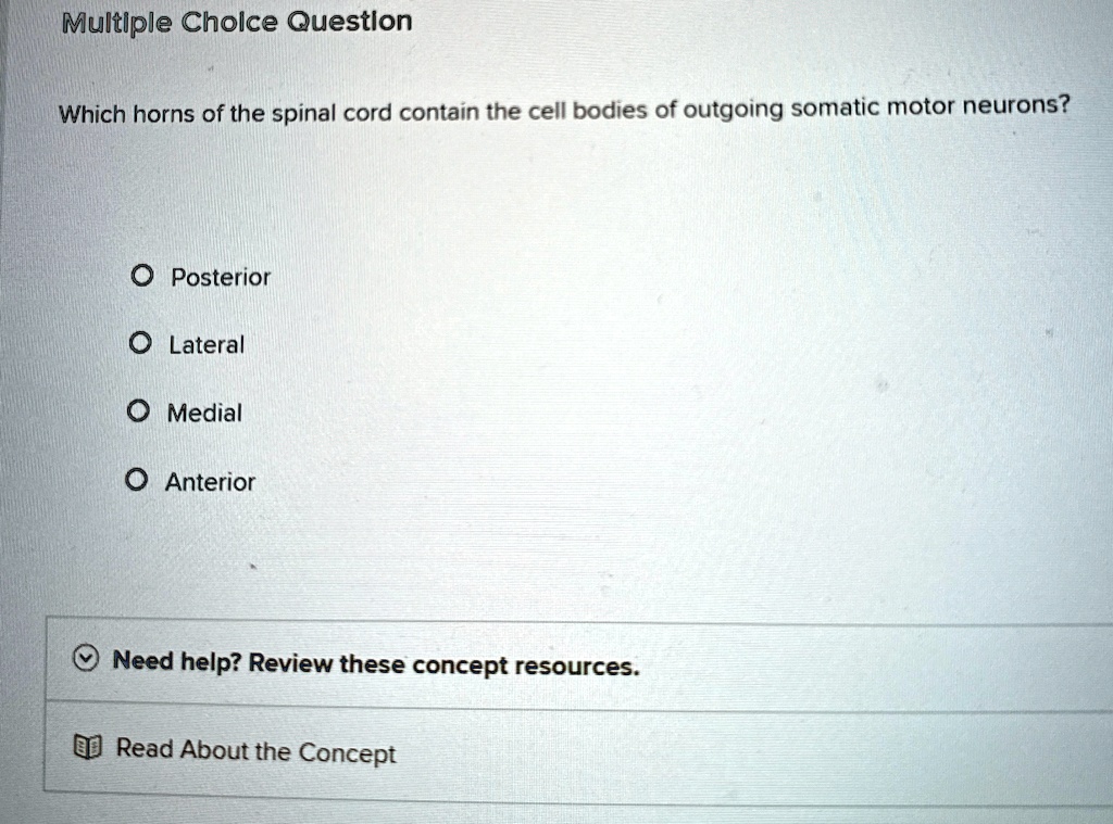 Multiple Choice Question Which horns of the spinal cord contain the ...