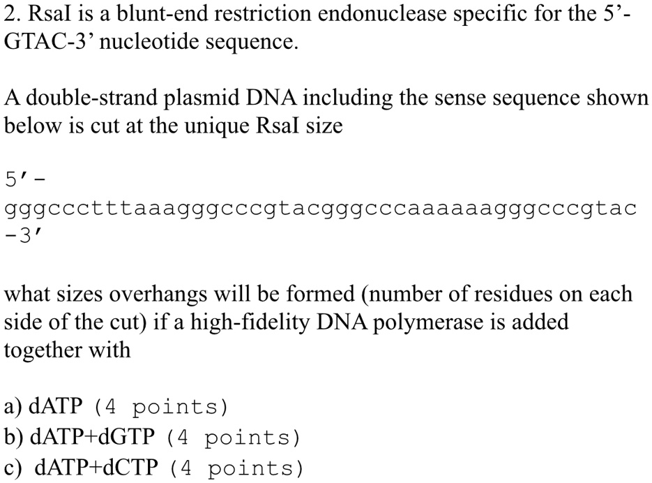 2 rsal is a blunt end restriction endonuclease specific for the 5 gtac ...