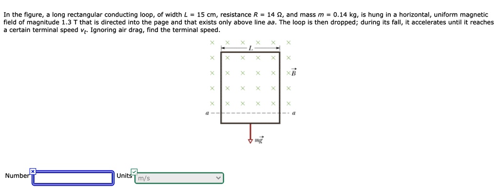 SOLVED: In the figure, a long rectangular conducting loop of width L = 15 cm, resistance R = 14 ...