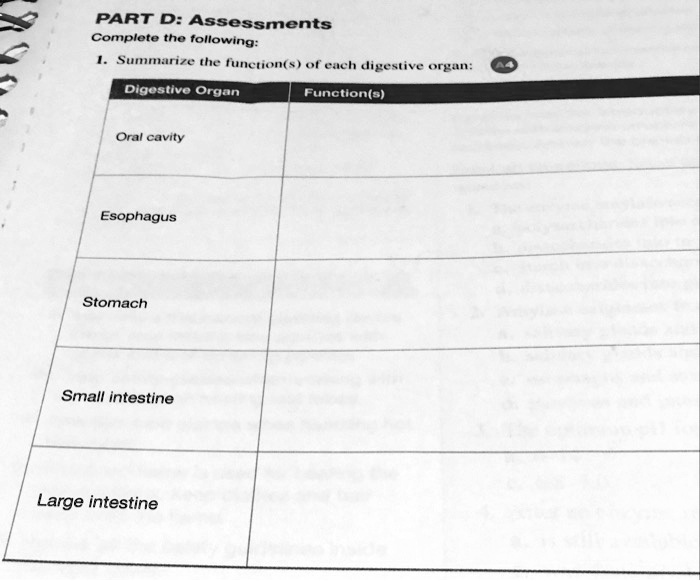 SOLVED: PART D: Assessments Complete the following: 1. Summarize the ...