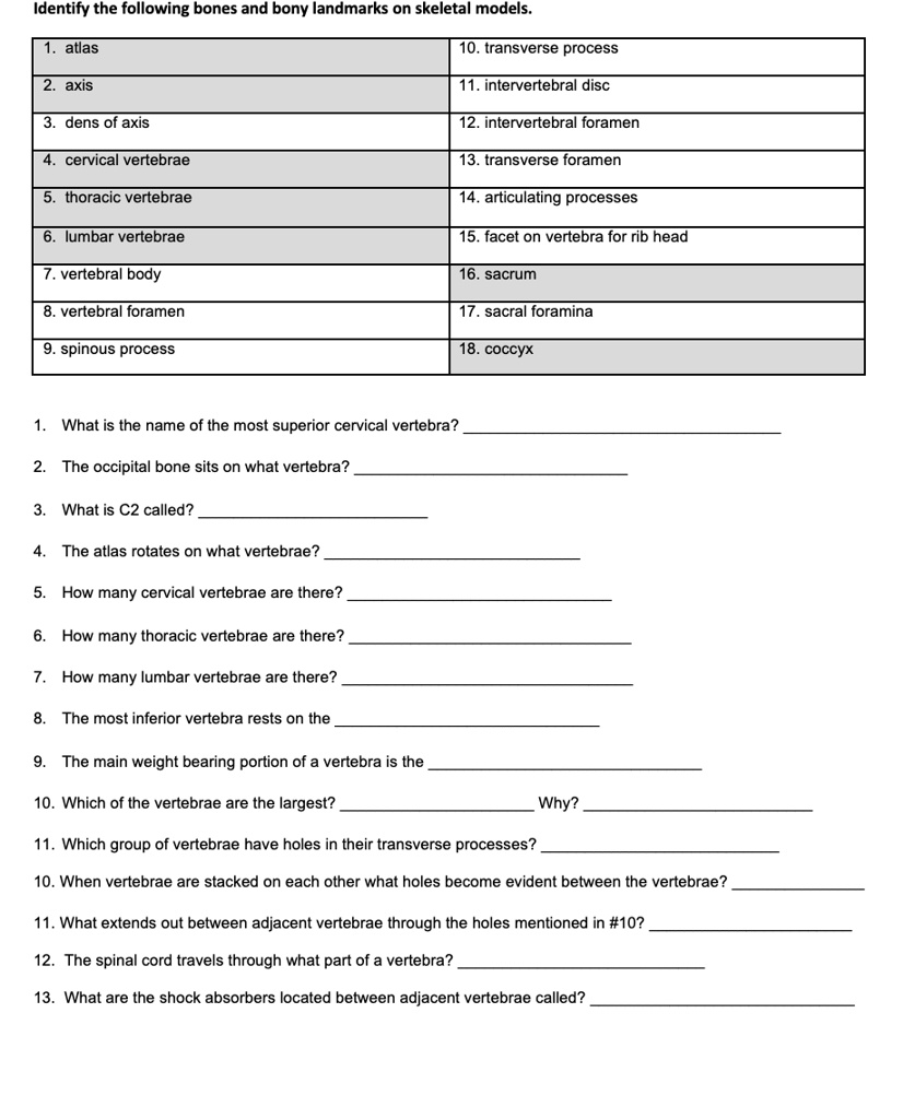 Identify the following bones and bony landmarks on skeletal models. 1 ...
