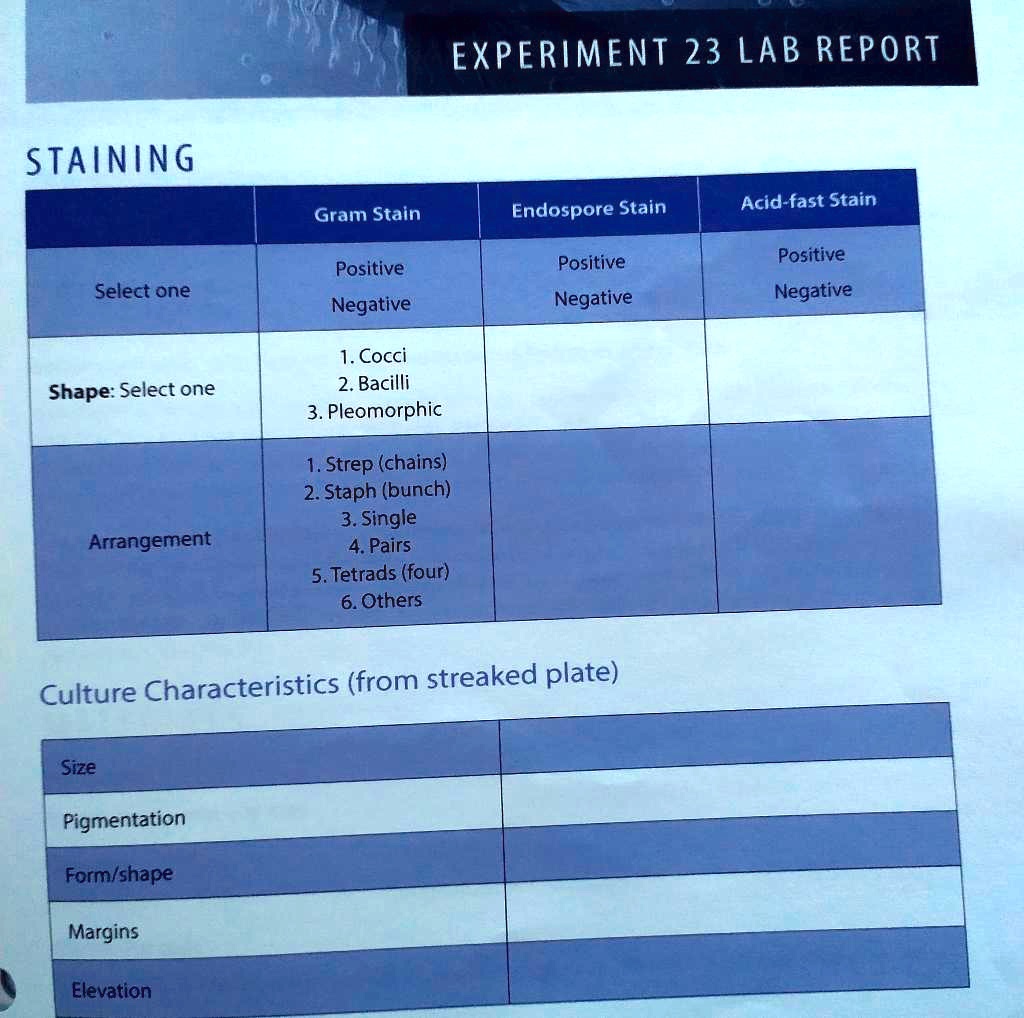 SOLVED: Assistance please EXPERIMENT 23 LAB REPORT Staining Gram Stain ...