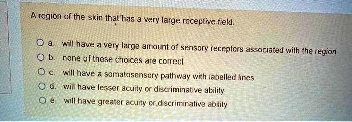 SOLVED: A region of the skin that has a very large receptive field O a ...