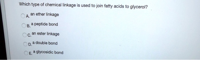 SOLVED: Which type of chemical linkage is used to join fatty acids to ...