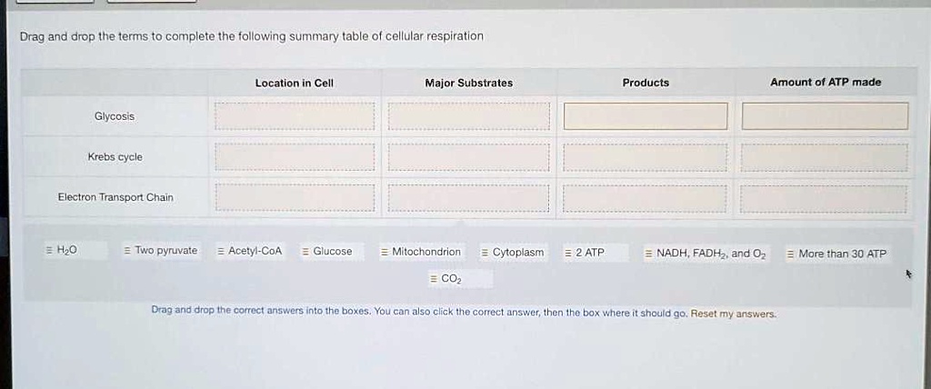 Text: Drag and drop the terms to complete the following summary table ...