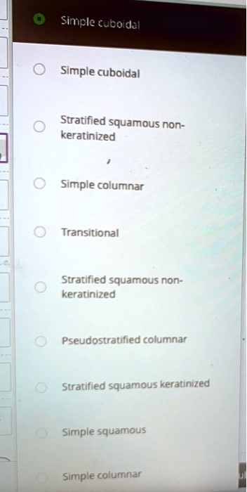 SOLVED: Simple cuboidal Stratified squamous non-keratinized Simple columnar Transitional ...