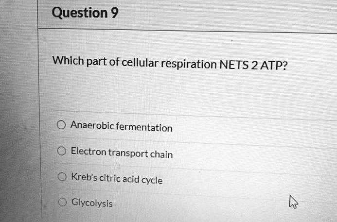 SOLVED: Which part of cellular respiration NETS 2 ATP? Anaerobic ...