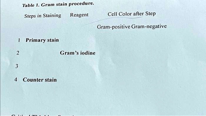 Table 1. Gram stain procedure. Steps in Staining Reagent Cell Color ...