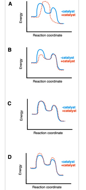 A Energy Reaction coordinate -catalyst +catalyst B Energy Reaction ...