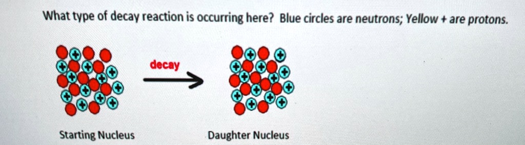 SOLVED: The image below shows the starting nucleus and ending nucleus ...