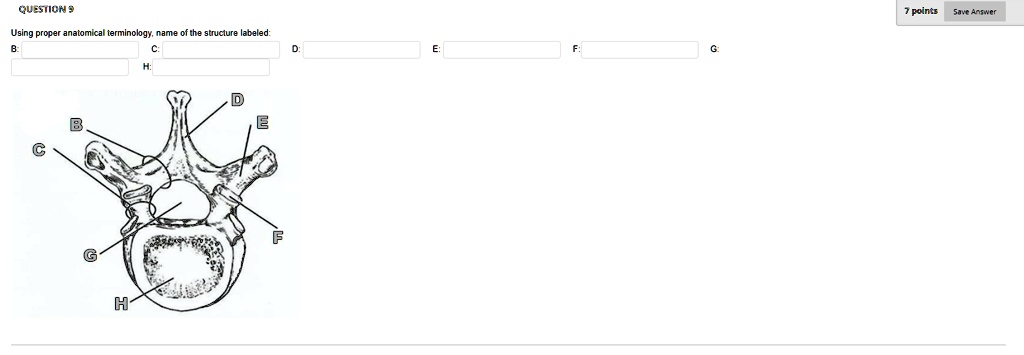 SOLVED: Using proper anatomical terminology, name of the structure labeled: B: C: B G H