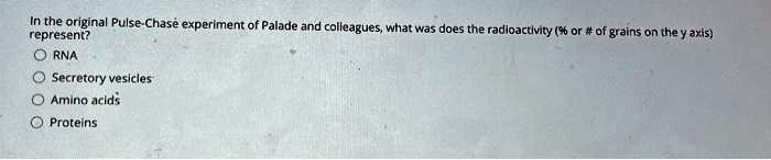 SOLVED: Pulse Chase experiment of Palade and colleagues, what does the ...
