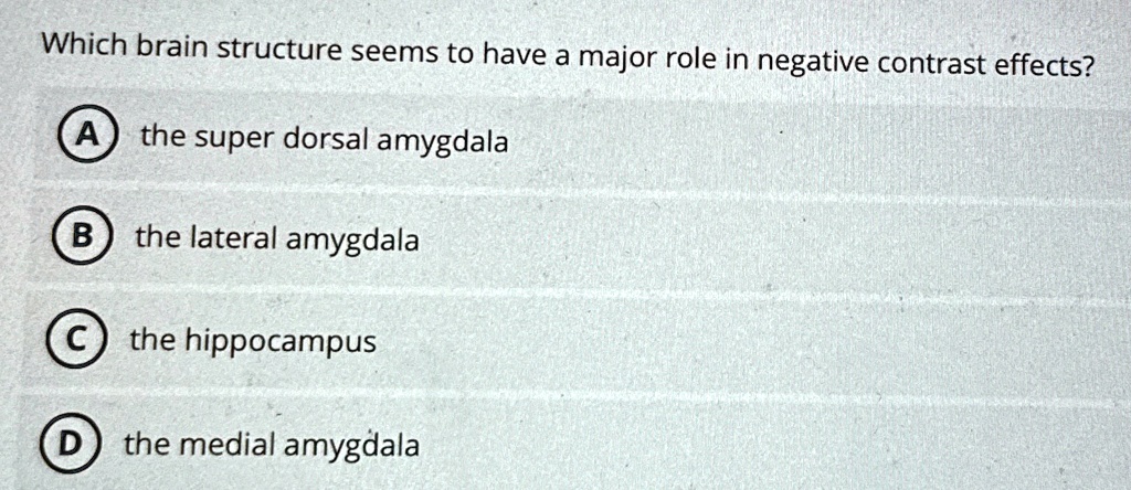 which brain structure seems to have a major role in negative contrast ...