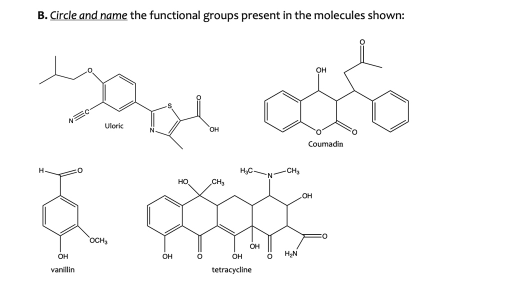 SOLVED: B. Circle and name the functional groups present in the ...