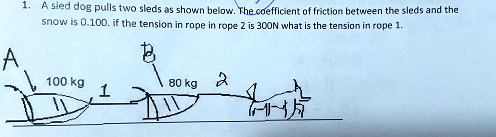 1. A sled dog pulls two sleds as shown below. The coefficient of ...