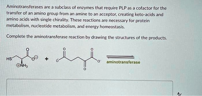 Aminotransferases are a subclass of enzymes that require PLP as a ...