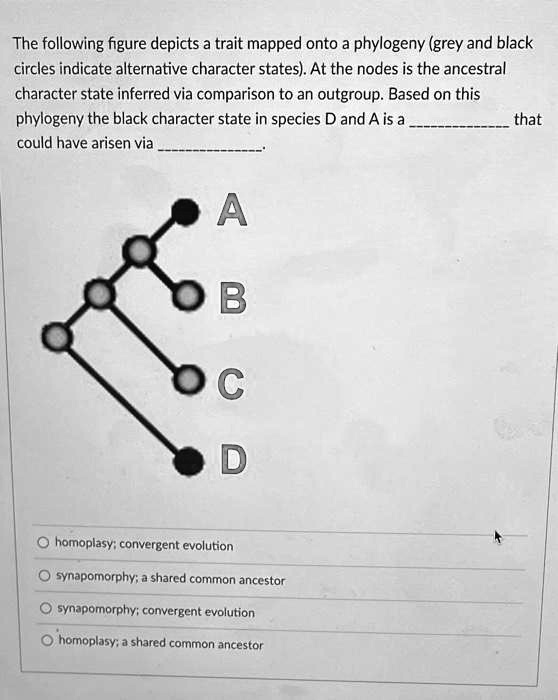 The following figure depicts a trait mapped onto a phylogeny (grey and ...
