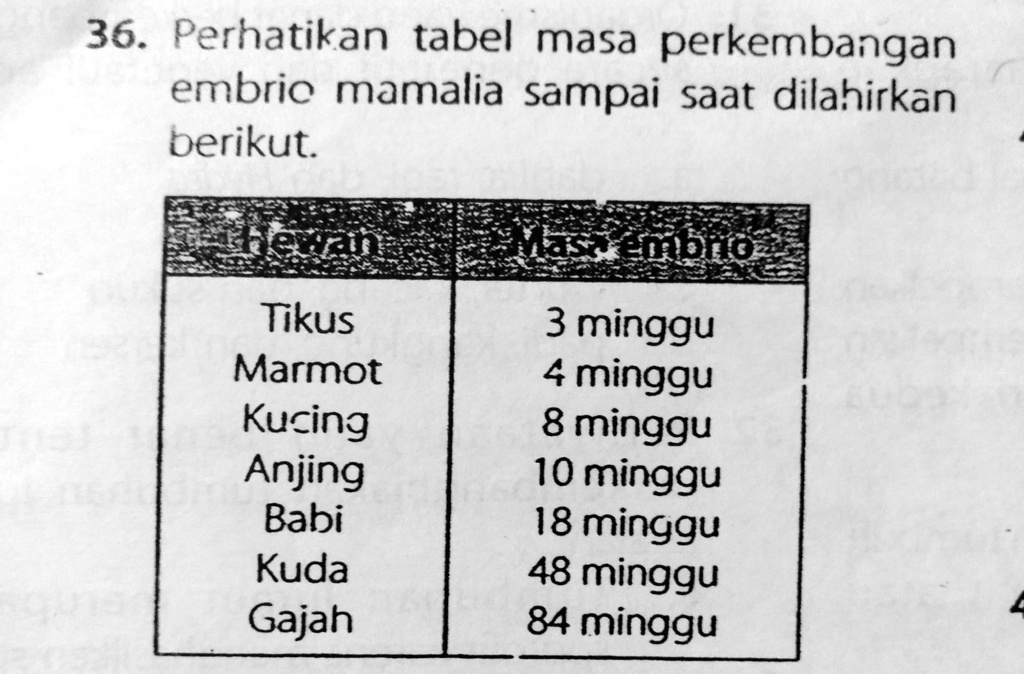 SOLVED: Berdasarkan tabel tersebut, hewan yang mempunyai masa ...