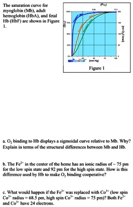 The saturation curve for myoglobin (Mb), adult hemoglobin (HbA), and ...