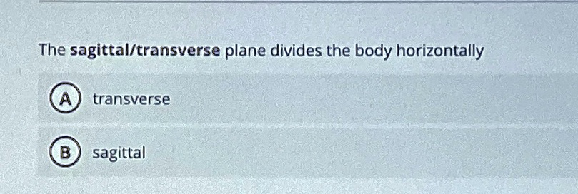 the sagittaltransverse plane divides the body horizontally a transverse ...