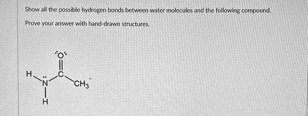 SOLVED: 'Show all the possible hydrogen bonds between water molecules ...
