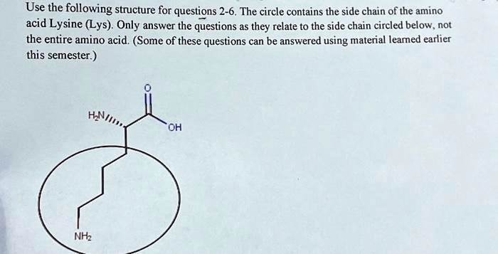 Use the following structure for questions 2-6. The circle contains the ...