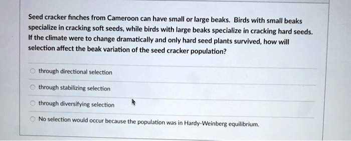 SOLVED: Seed cracker finches from Cameroon can have small or large ...