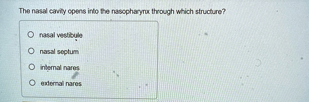 the nasal cavity opens into the nasopharynx through which structure ...