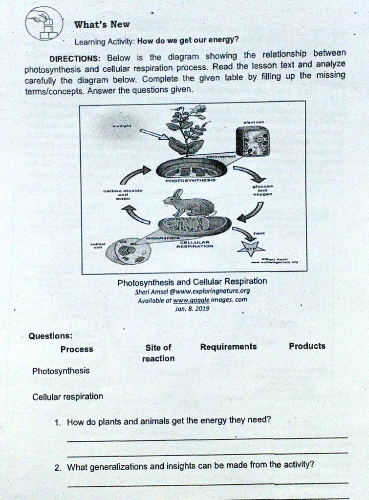 SOLVED: For grade 11-12 Module What's New Learning Activity: How do we ...