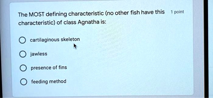 SOLVED: The MOST defining characteristic (no other fish have this point ...