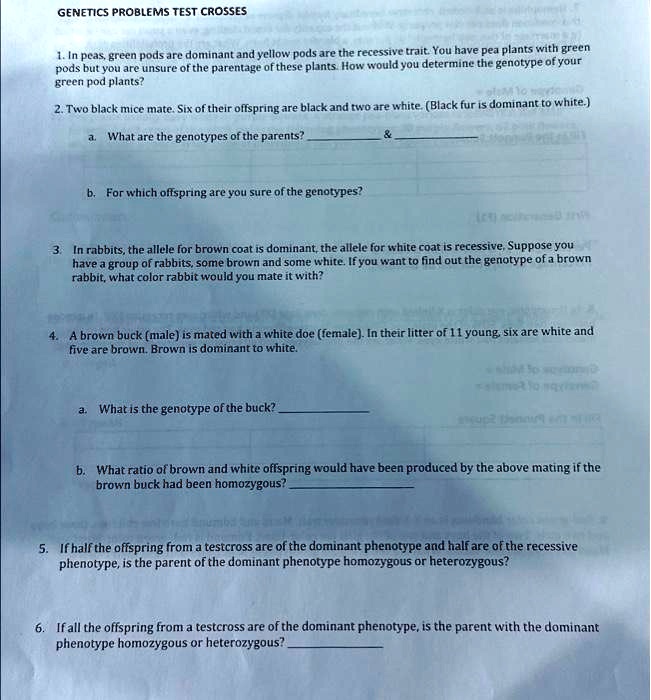 SOLVED: GENETICS PROBLEMS TEST CROSSES 1. In peas,green pods are ...