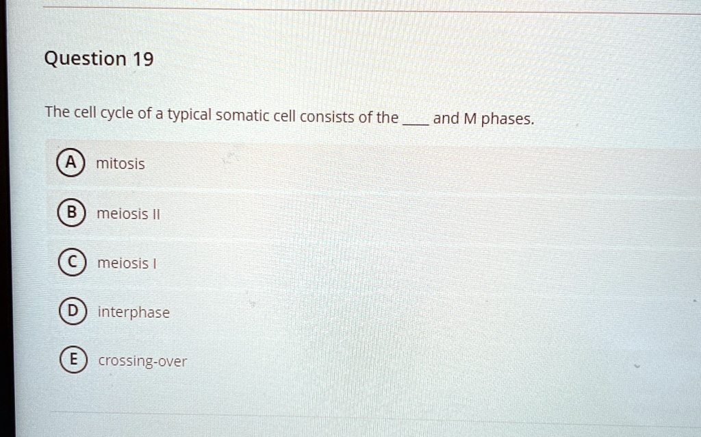 question 19 the cell cycle of a typical somatic cell consists of the ...