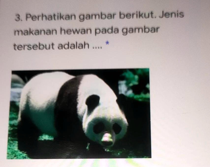 SOLVED: 3. perhatikan gambar berikut . jenis makanan hewan pada gambar ... SOLVED: 3. perhatikan gambar berikut . jenis makanan hewan pada gambar ...