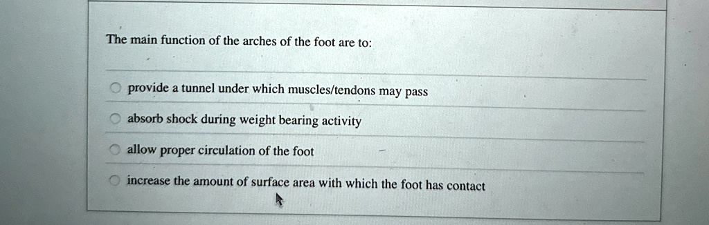 The main function of the arches of the foot are to: •provide a tunnel ...