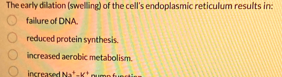 The early dilation (swelling) of the cell's endoplasmic reticulum ...