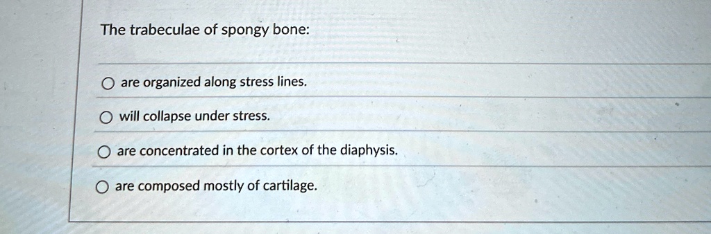 the trabeculae of spongy bone are organized along stress lines will ...