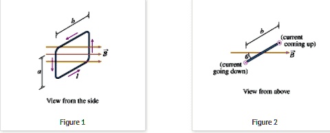 'Consider a current I that flows in a plane rectangular current loop with height a = 4.00 cm and ...