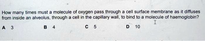 how many times must a molecule of oxygen pass through cell surface ...