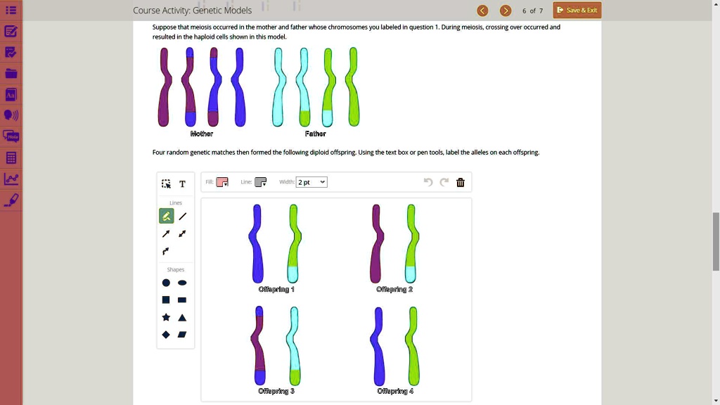 SOLVED: Four random genetic matches then formed the following diploid ...