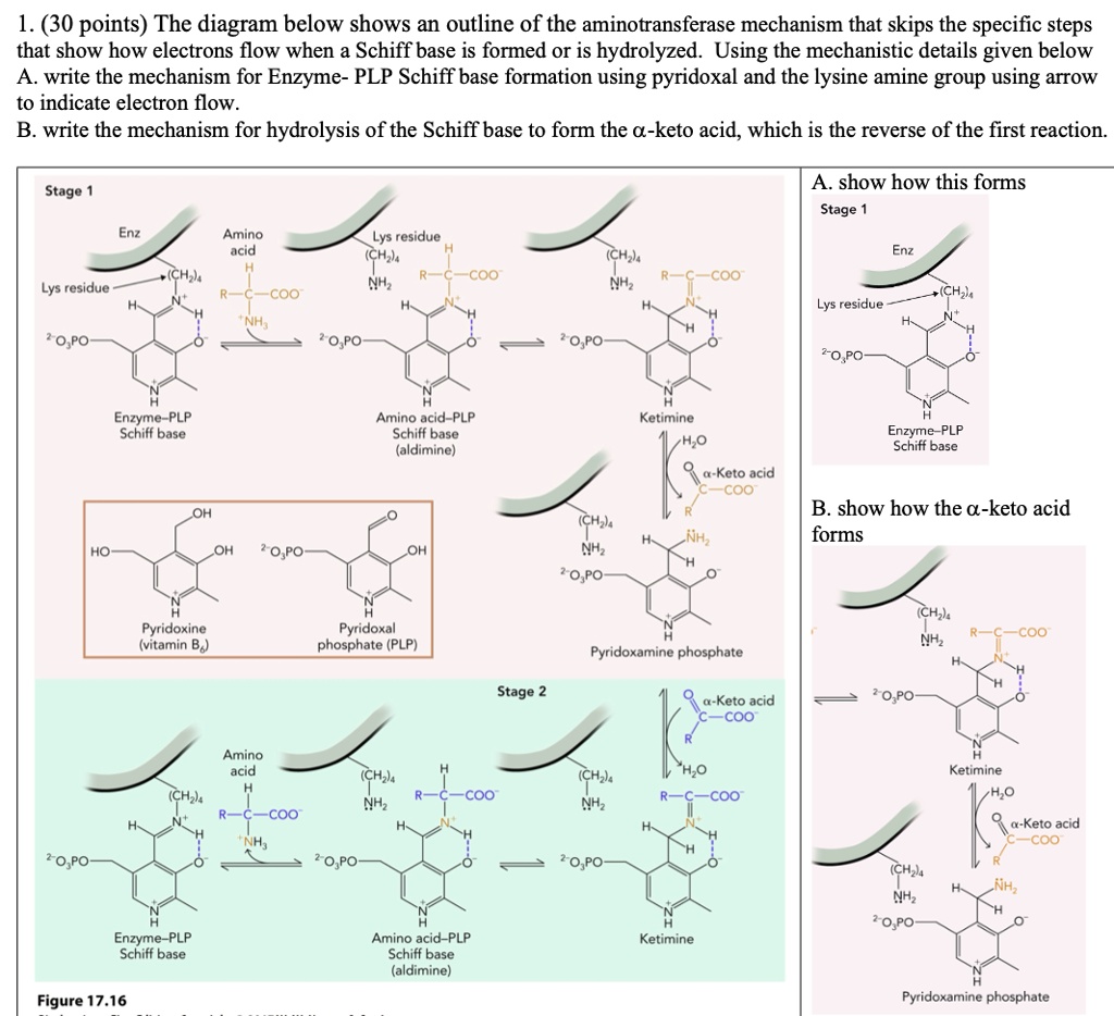 SOLVED:1. (30 points) The diagram below shows an outline of the ...