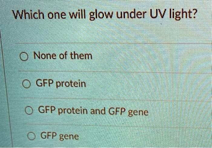 which one will glow under uv light none of them gfp protein gfp protein ...