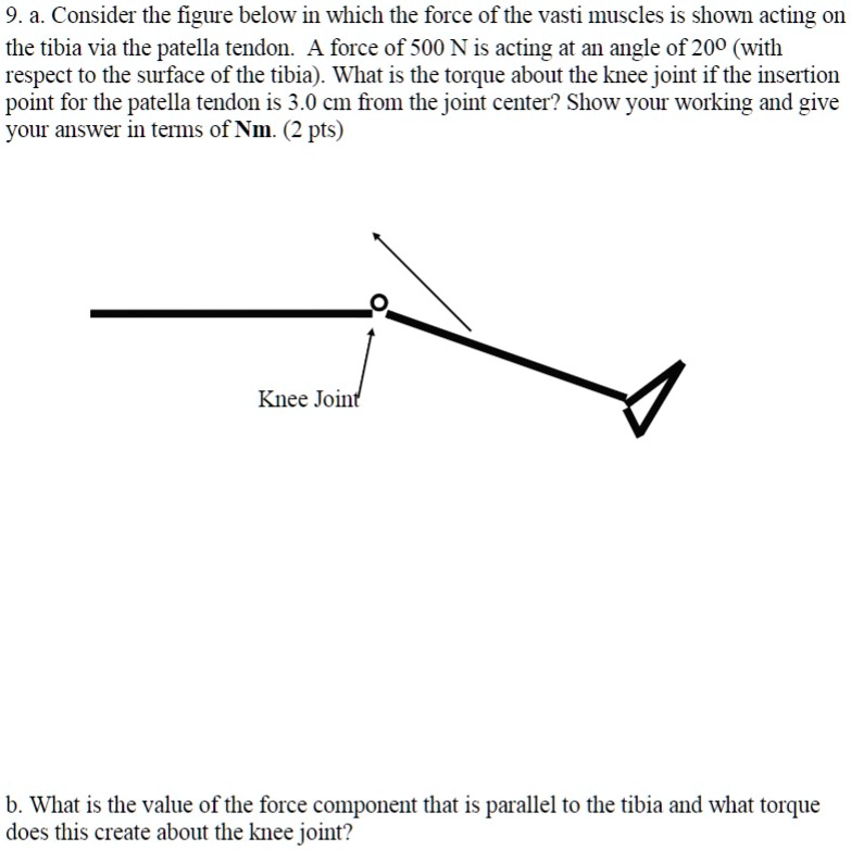 9. a. Consider the figure below in which the force of the vasti muscles ...