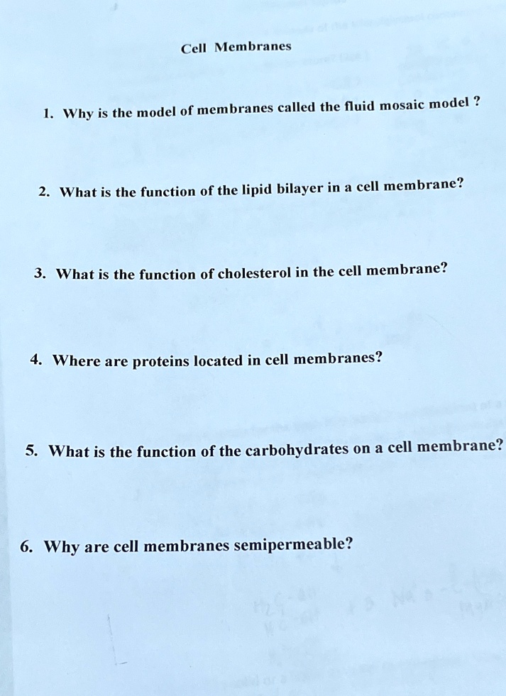 SOLVED: 'Cell Membranes Why is the model of membranes called the fluid ...