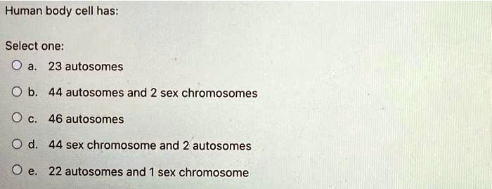 What Is Autosomes In Human Body