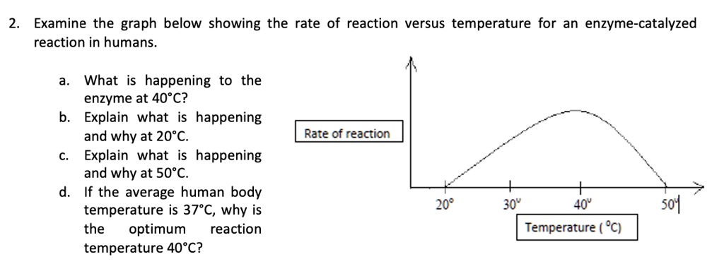 SOLVED: Examine the graph below showing the rate of reaction versus ...